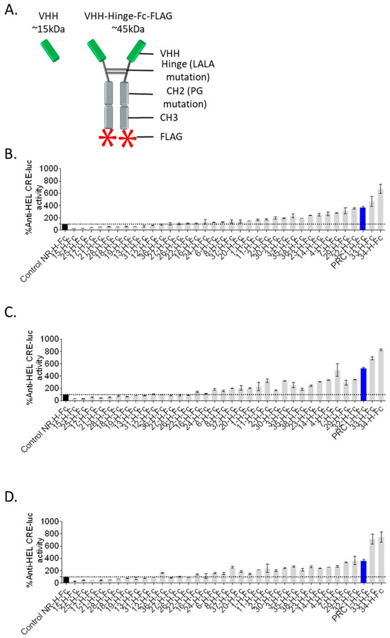 IJMS | Free Full-Text | Combined Multiplexed Phage Display, High ...