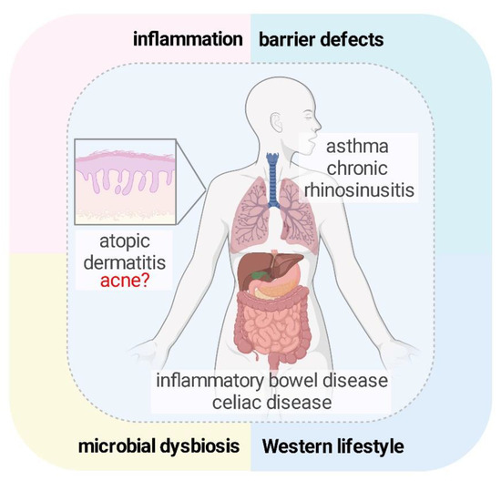 Are the Cutaneous Microbiota a Guardian of the Skin’s Physical Barrier ...