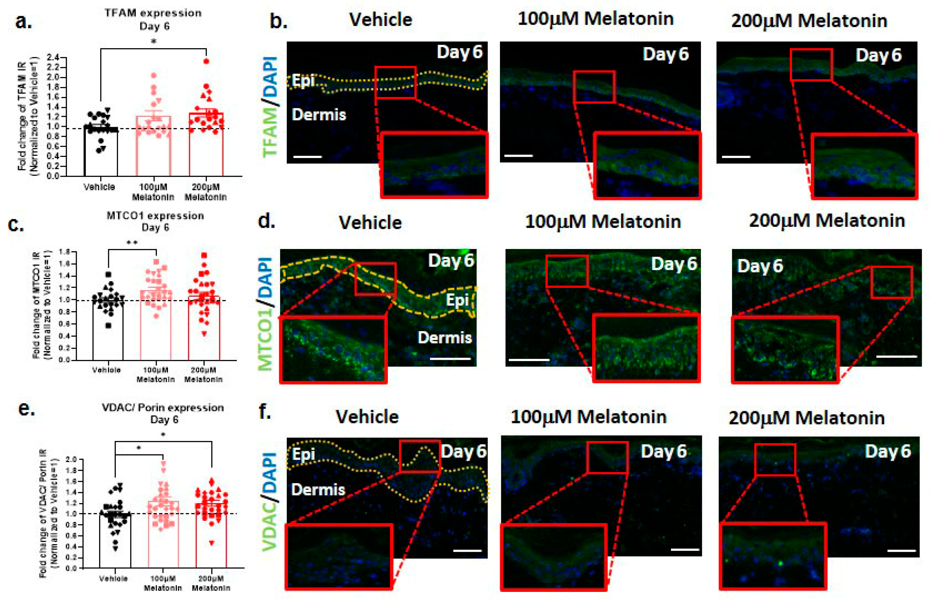 IJMS | Free Full-Text | Melatonin Exerts Prominent, Differential ...