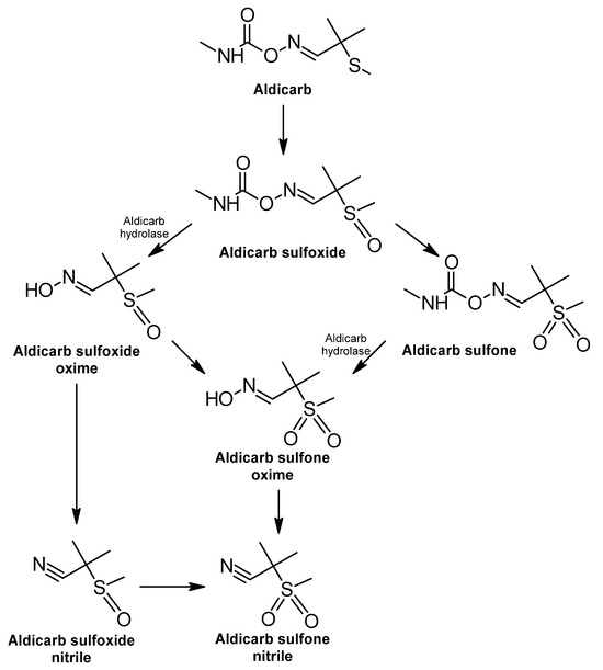 Microbiology and Biochemistry of Pesticides Biodegradation