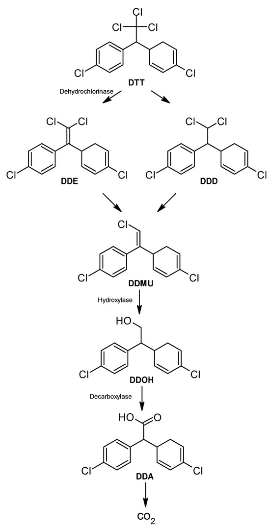 Microbiology and Biochemistry of Pesticides Biodegradation