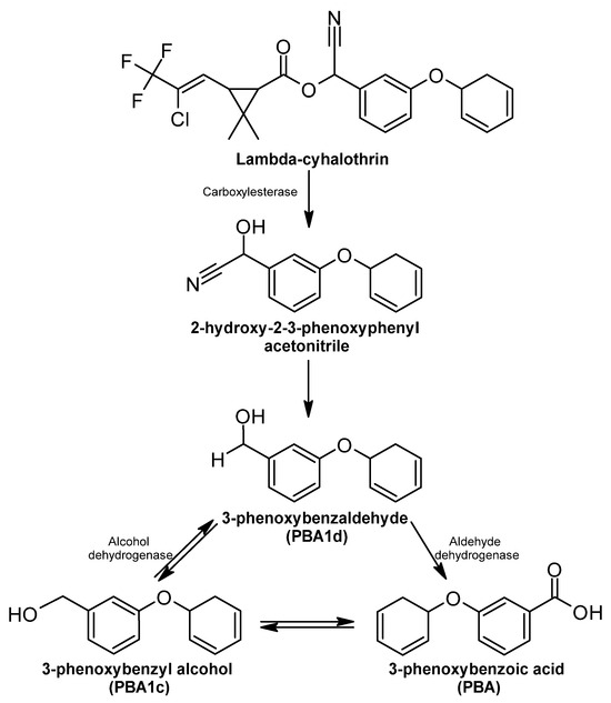 Microbiology and Biochemistry of Pesticides Biodegradation