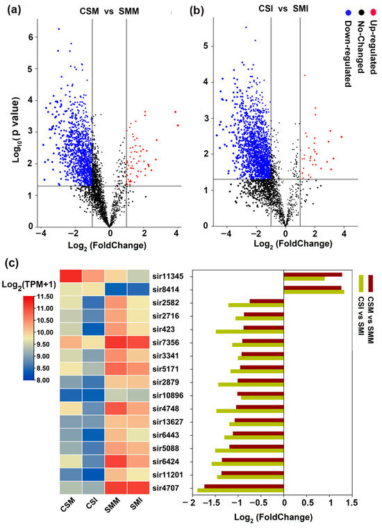 IJMS | Free Full-Text | Identification and Expressional Analysis of siRNAs Responsive to ...