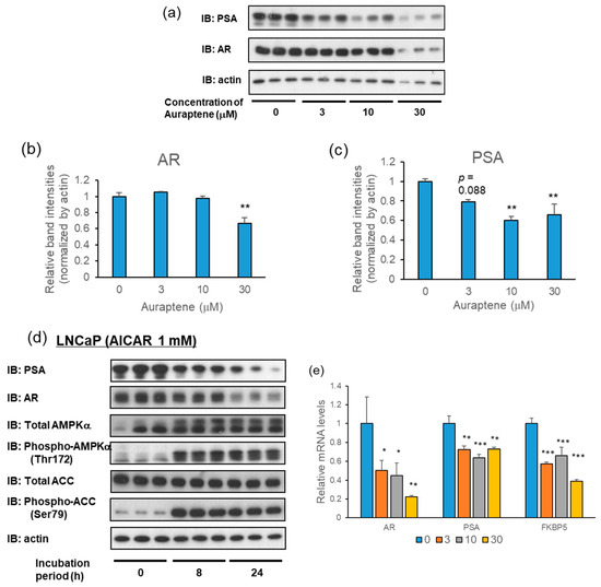 Auraptene Enhances AMP-Activated Protein Kinase Phosphorylation and ...