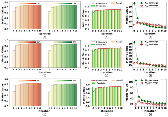IJMS | Free Full-Text | A Weakly Supervised Learning Method for Cell ...