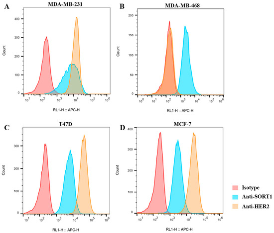 Generation of a Novel SORT1×HER2 Bispecific Antibody–Drug Conjugate ...