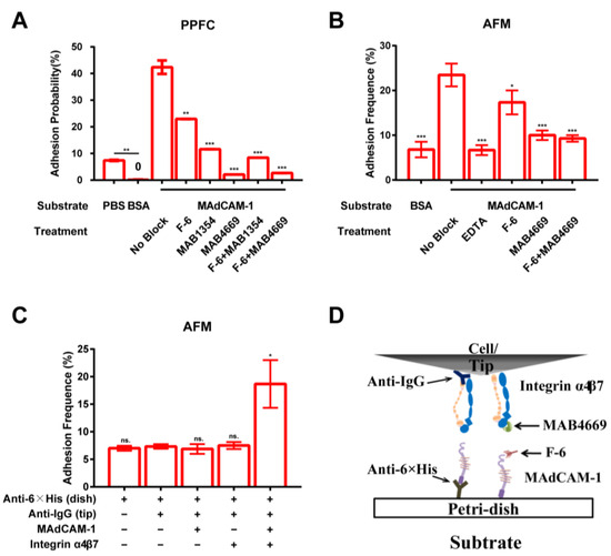 The Force-Dependent Mechanism of an Integrin α4β7–MAdCAM-1 Interaction