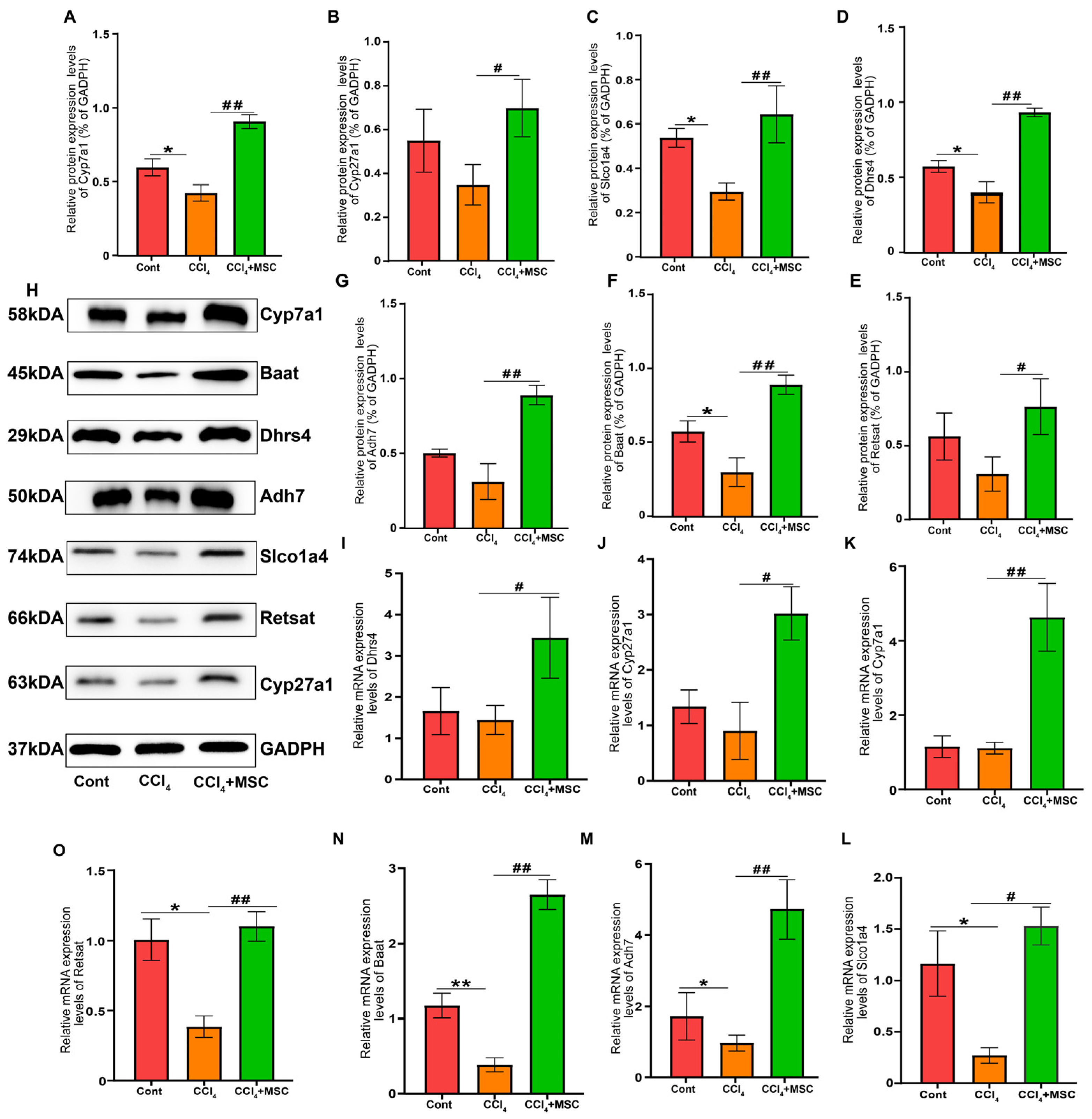 IJMS | Free Full-Text | Integrated Transcriptome and Metabolomics to ...