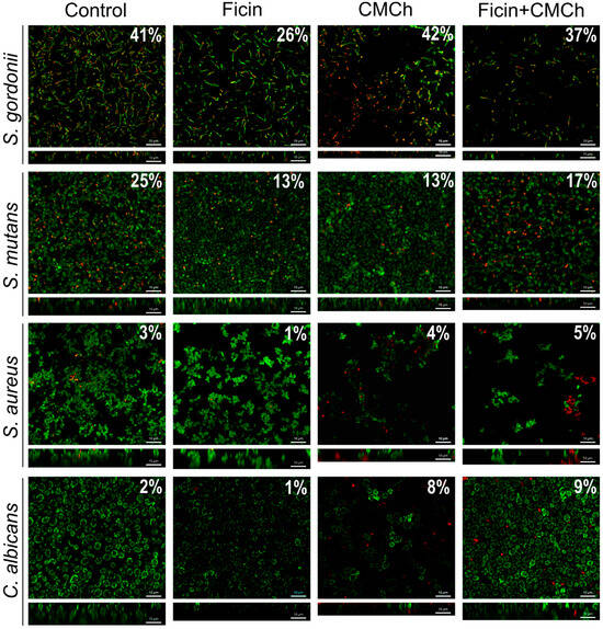 IJMS | Free Full-Text | The Effect of Ficin Immobilized on ...