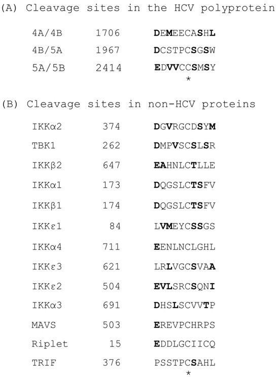 Suppression of Innate Immunity by the Hepatitis C Virus (HCV ...