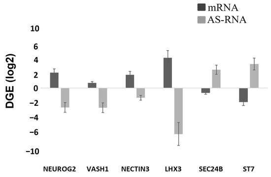 IJMS | Free Full-Text | CRISPR/Cas9 Directed Reprogramming of iPSC for ...