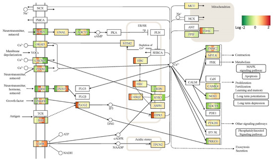 IJMS | Free Full-Text | CRISPR/Cas9 Directed Reprogramming of iPSC for ...