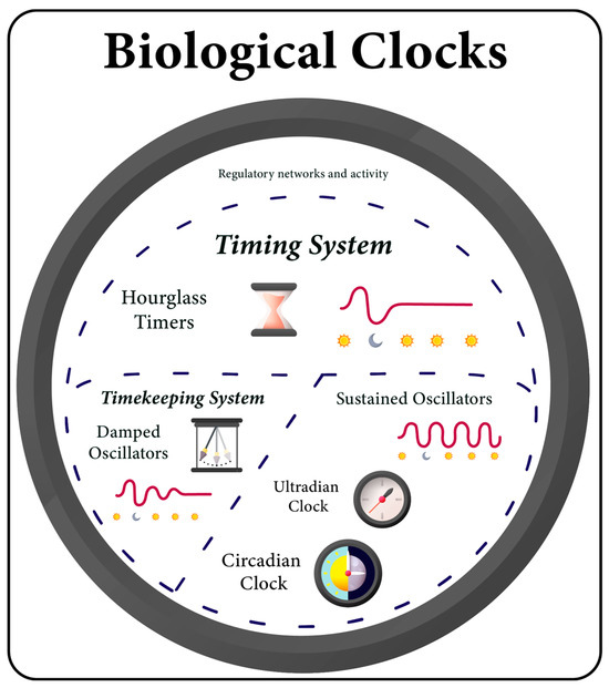Studying the Human Microbiota: Advances in Understanding the ...