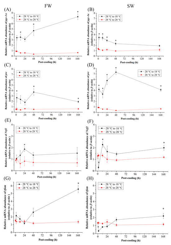 Regulation of PGC-1α of the Mitochondrial Energy Metabolism Pathway in ...
