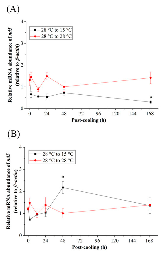 Regulation of PGC-1α of the Mitochondrial Energy Metabolism Pathway in ...