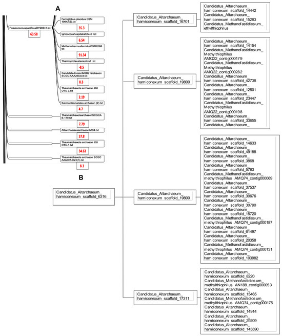 IJMS | Free Full-Text | An Unsupervised Classifier for Whole-Genome ...