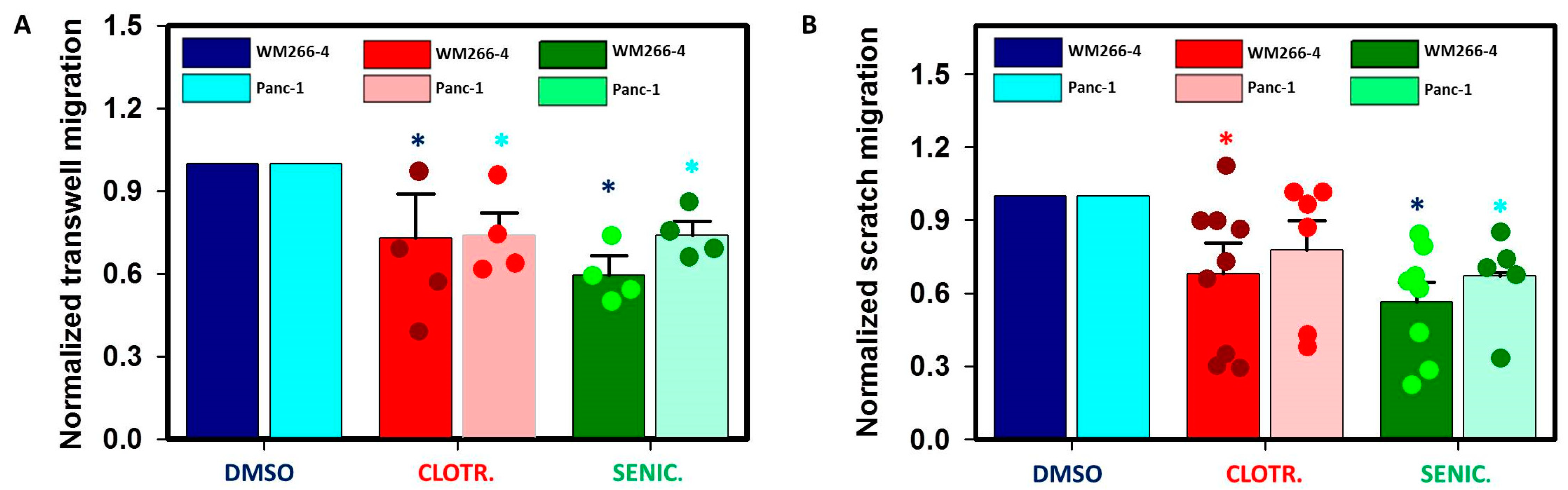 IJMS | Free Full-Text | IK Channel-Independent Effects of Clotrimazole ...