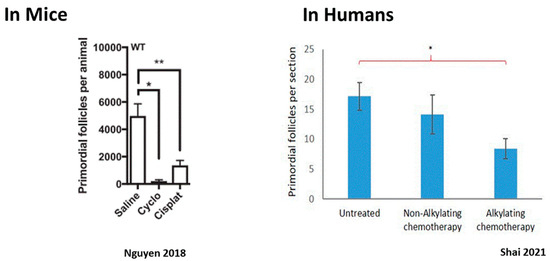 Overactivation or Apoptosis: Which Mechanisms Affect Chemotherapy ...
