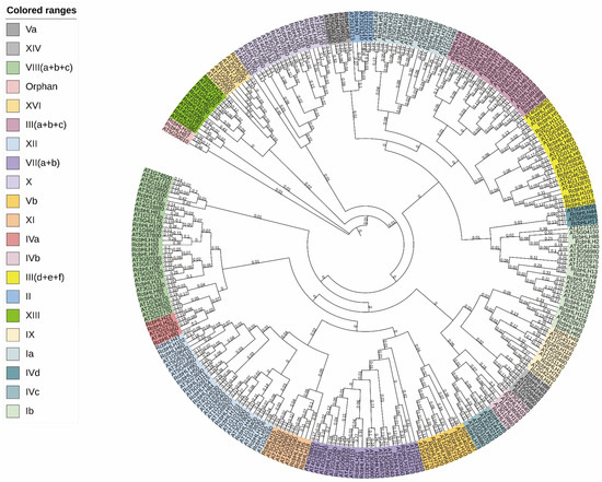 IJMS | Free Full-Text | The Basic/Helix-Loop-Helix Transcription Factor ...