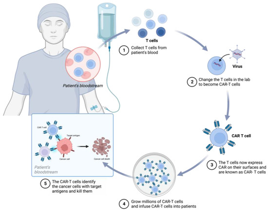 CRISPR/Cas9-Mediated Genome Editing in Cancer Therapy