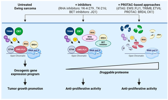 PROTAC-Based Protein Degradation as a Promising Strategy for Targeted ...