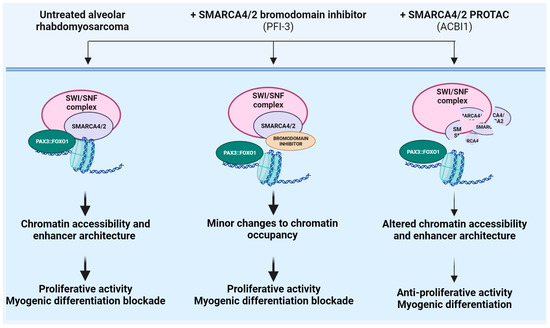 PROTAC-Based Protein Degradation as a Promising Strategy for Targeted ...