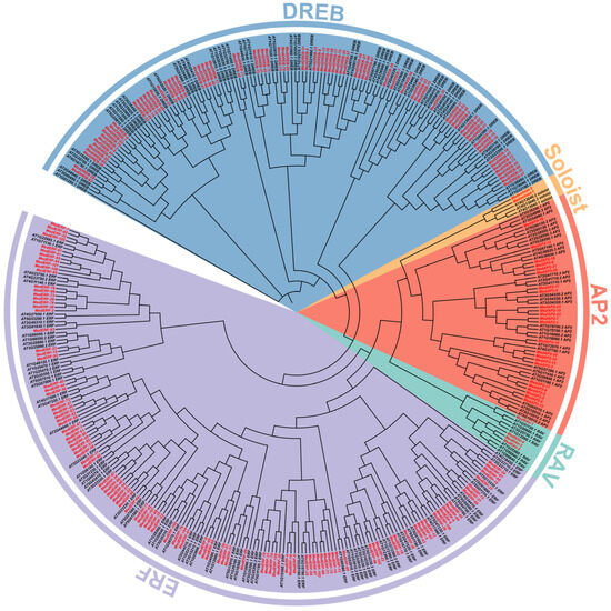 IJMS | Free Full-Text | Bioinformatic Assessment and Expression ...