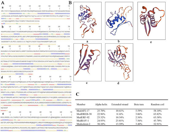 IJMS | Free Full-Text | Bioinformatic Assessment and Expression ...