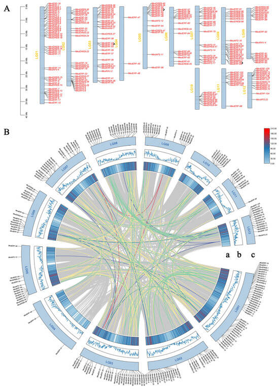 IJMS | Free Full-Text | Bioinformatic Assessment and Expression ...