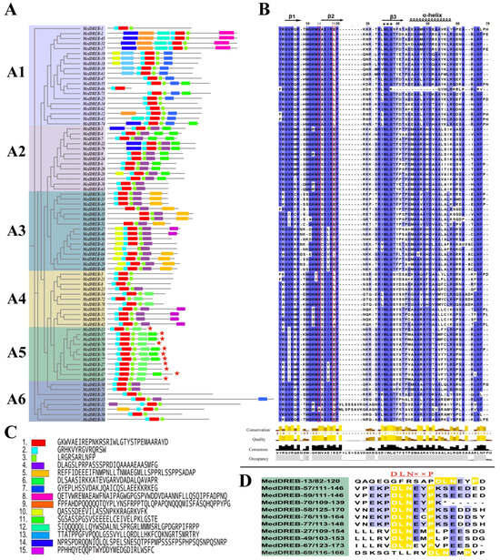 IJMS | Free Full-Text | Bioinformatic Assessment and Expression ...