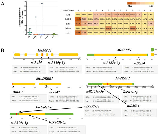 IJMS | Free Full-Text | Bioinformatic Assessment and Expression ...