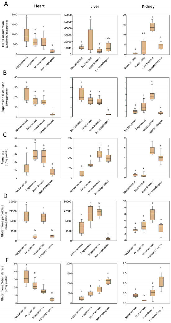 Oxidative Stress and Antioxidant Defense in the Heart, Liver, and ...