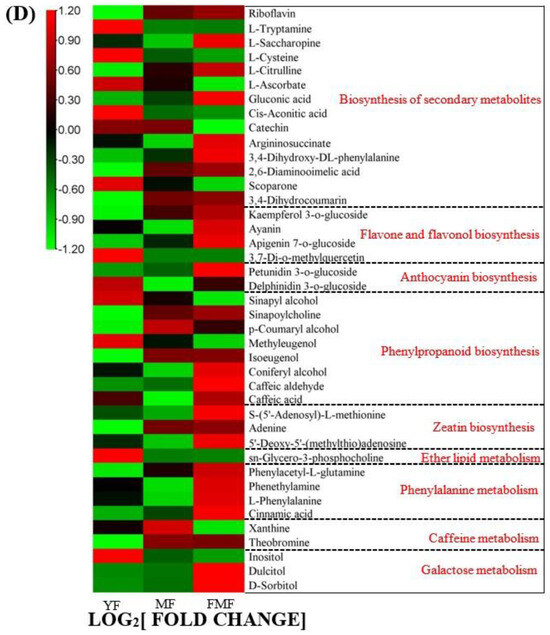 Integration of Metabolomics and Transcriptomics to Explore Dynamic ...