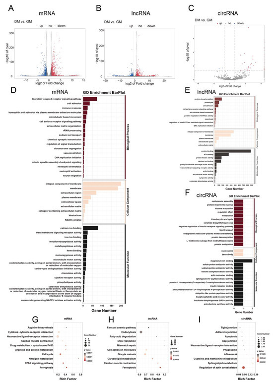 Whole-Transcriptome RNA Sequencing Uncovers the Global Expression Changes and RNA Regulatory ...