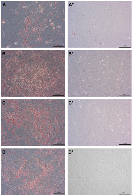 Regulation of Immune Checkpoint Antigen CD276 (B7-H3) on Human Placenta ...