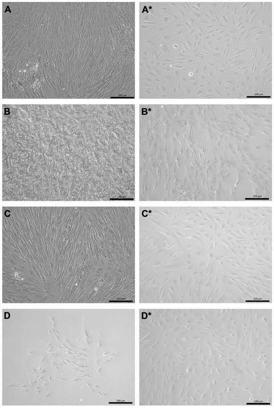 Regulation of Immune Checkpoint Antigen CD276 (B7-H3) on Human Placenta ...