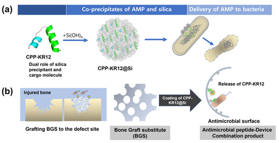 Self-Entrapment of Antimicrobial Peptides in Silica Particles for ...