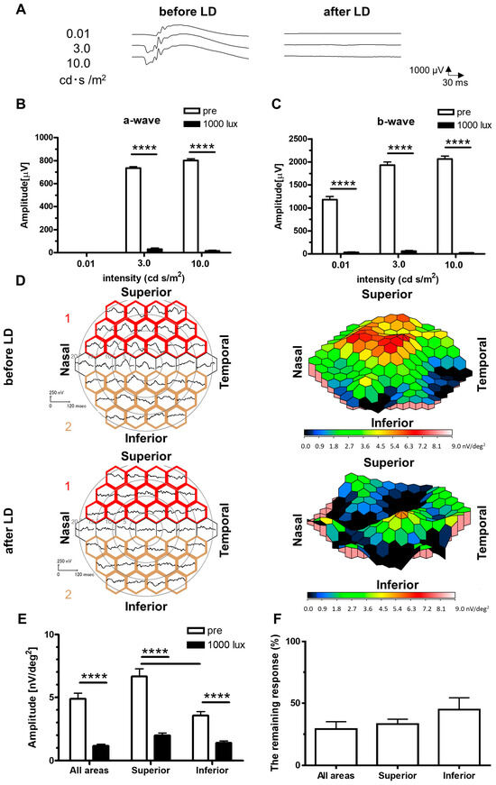 Evaluation of Local Retinal Function in Light-Damaged Rats Using ...