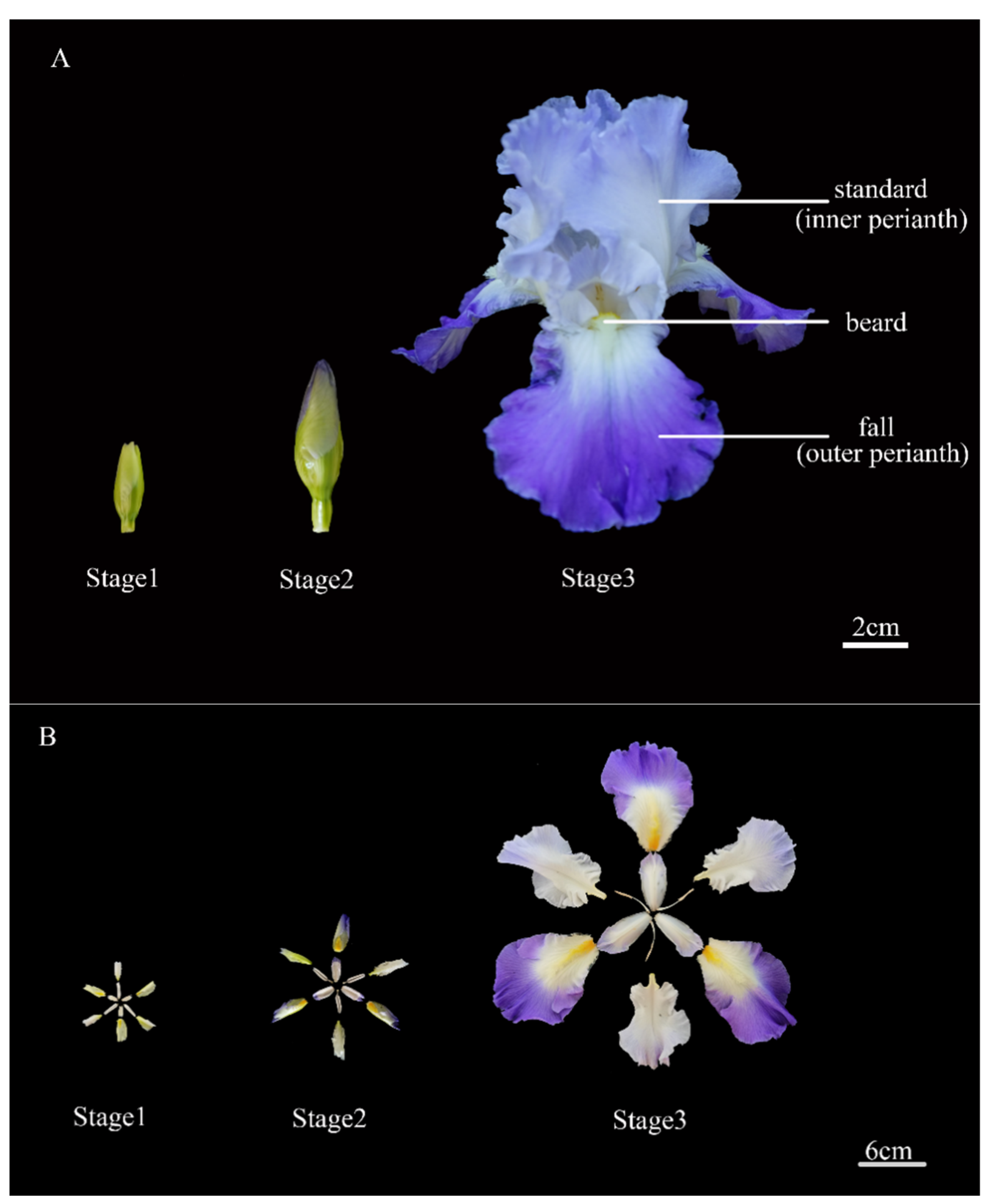 Association Analysis of Transcriptome and Targeted Metabolites ...