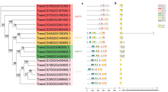 Genome-Wide Identification and Analysis of the ABCF Gene Family in ...