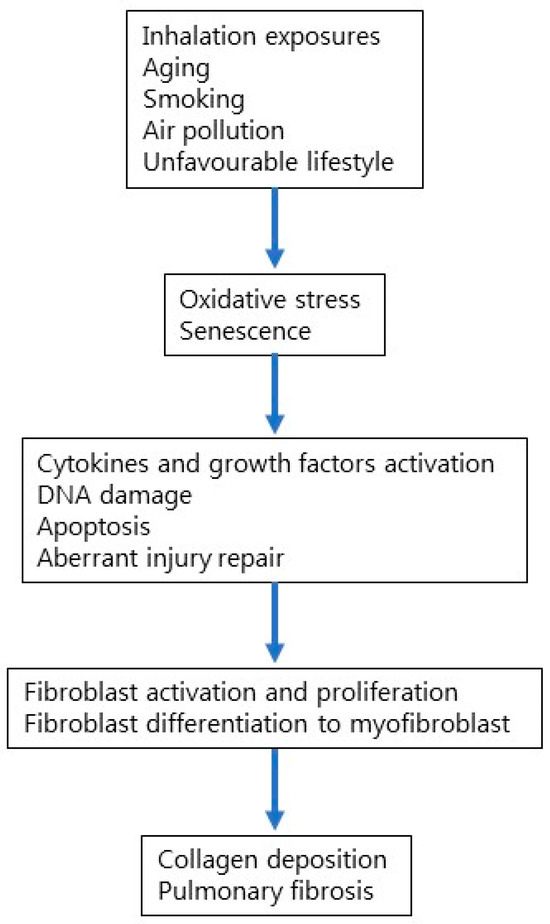 Environmental Causes of Idiopathic Pulmonary Fibrosis