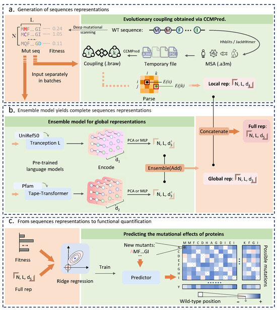 Ensemble Learning with Supervised Methods Based on Large-Scale Protein ...