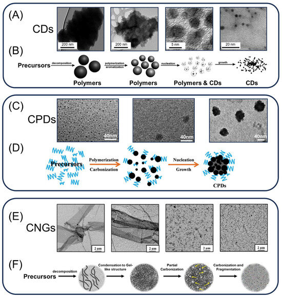 An Overview of the Potential of Food-Based Carbon Dots for Biomedical ...