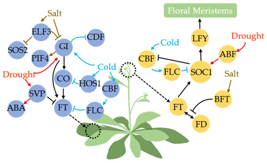 Involvement of CONSTANS-like Proteins in Plant Flowering and Abiotic ...