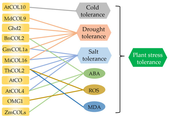 Involvement of CONSTANS-like Proteins in Plant Flowering and Abiotic ...