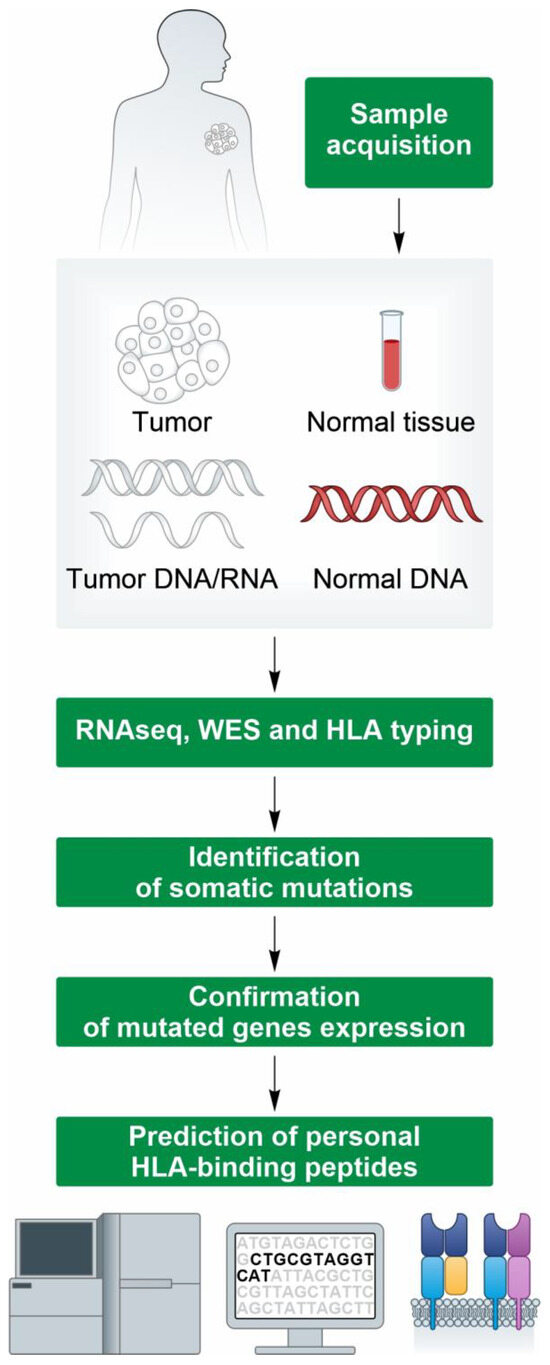Personalized Cancer Vaccines Go Viral: Viral Vectors in the Era of ...