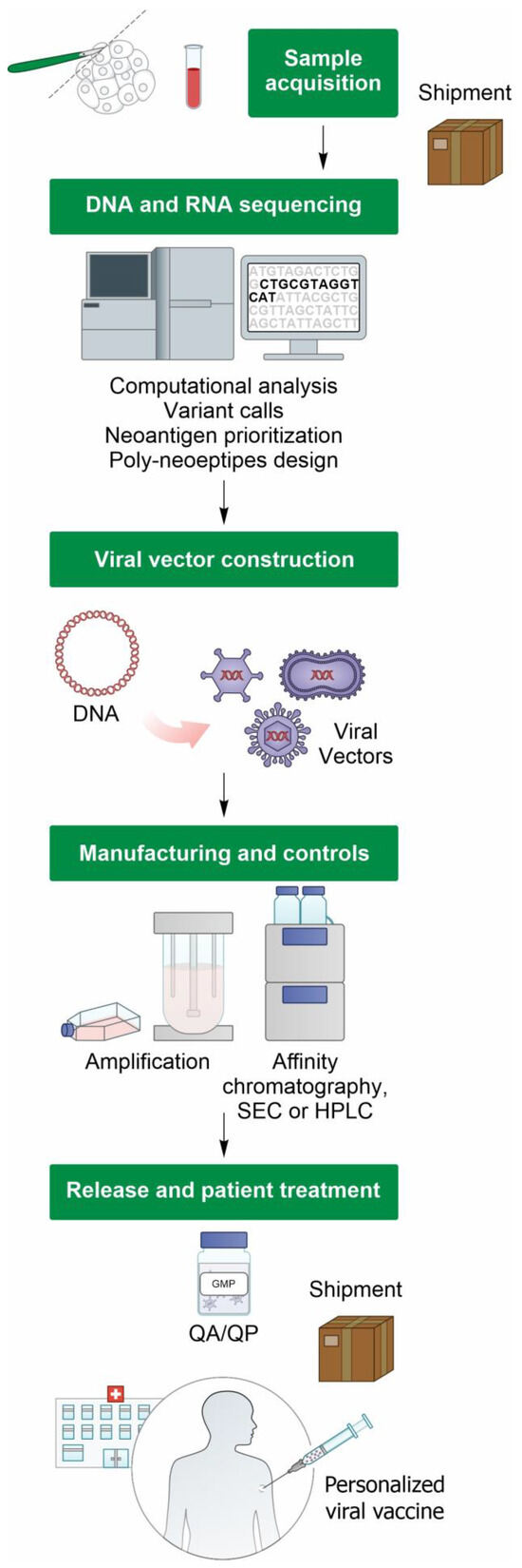 Personalized Cancer Vaccines Go Viral: Viral Vectors in the Era of ...