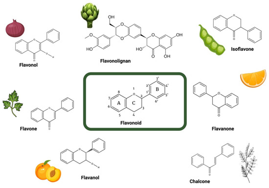 TRAIL-Sensitizing Effects of Flavonoids in Cancer