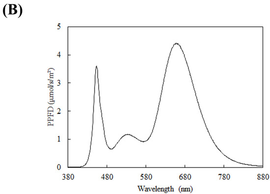 Nutrient Solution Flowing Environment Affects Metabolite Synthesis ...