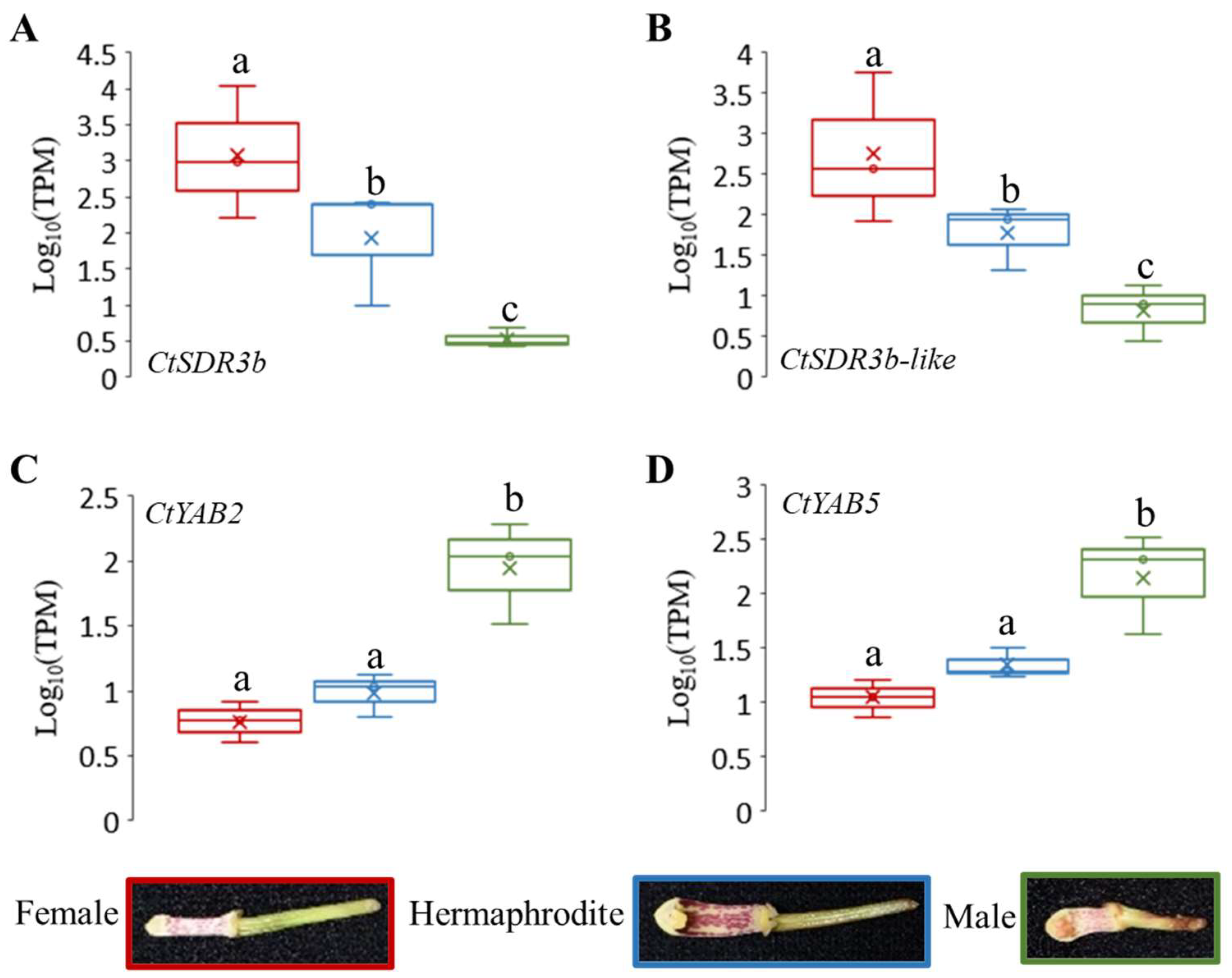 Ijms Free Full Text Sex Related Gene Network Revealed By